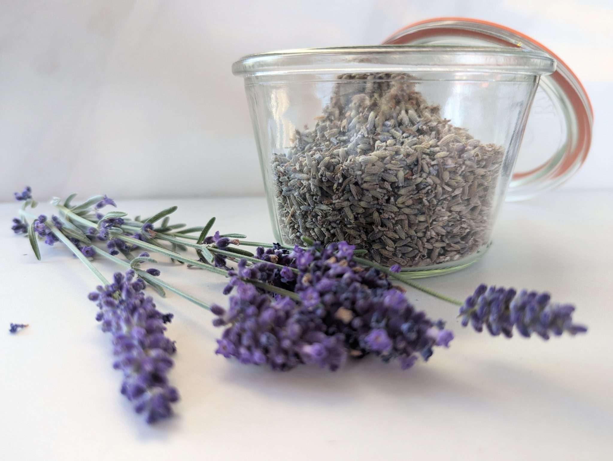 Herbalism: What You Need to Start Your Home Apothecary - Pioneer Health ...