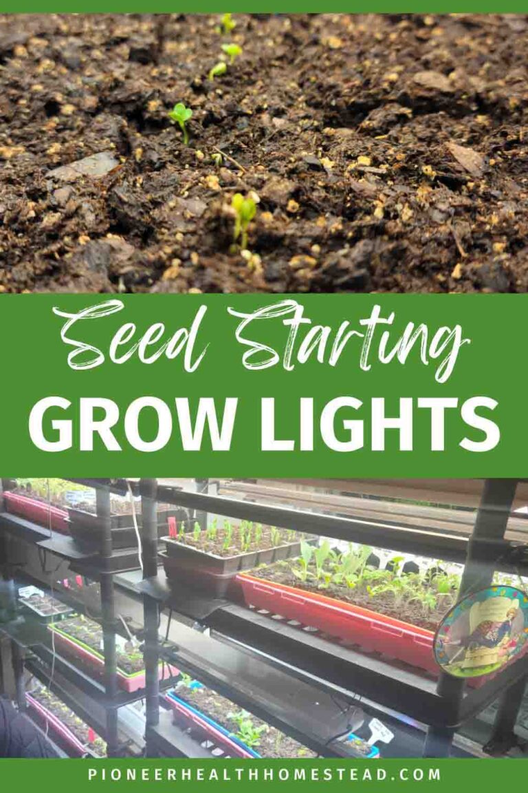 Starting Seeds Indoors with Grow Lights: A Beginner's Guide - Pioneer ...