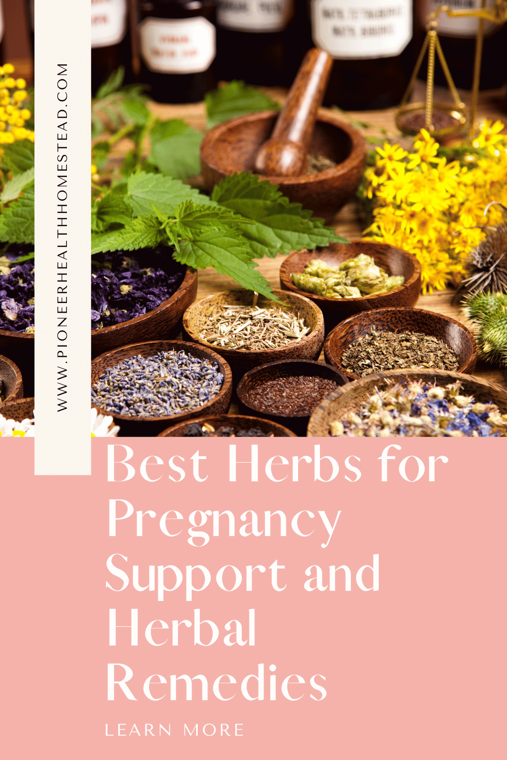 Best Herbs for Mastitis: Natural at Home Treatment - Pioneer Health ...