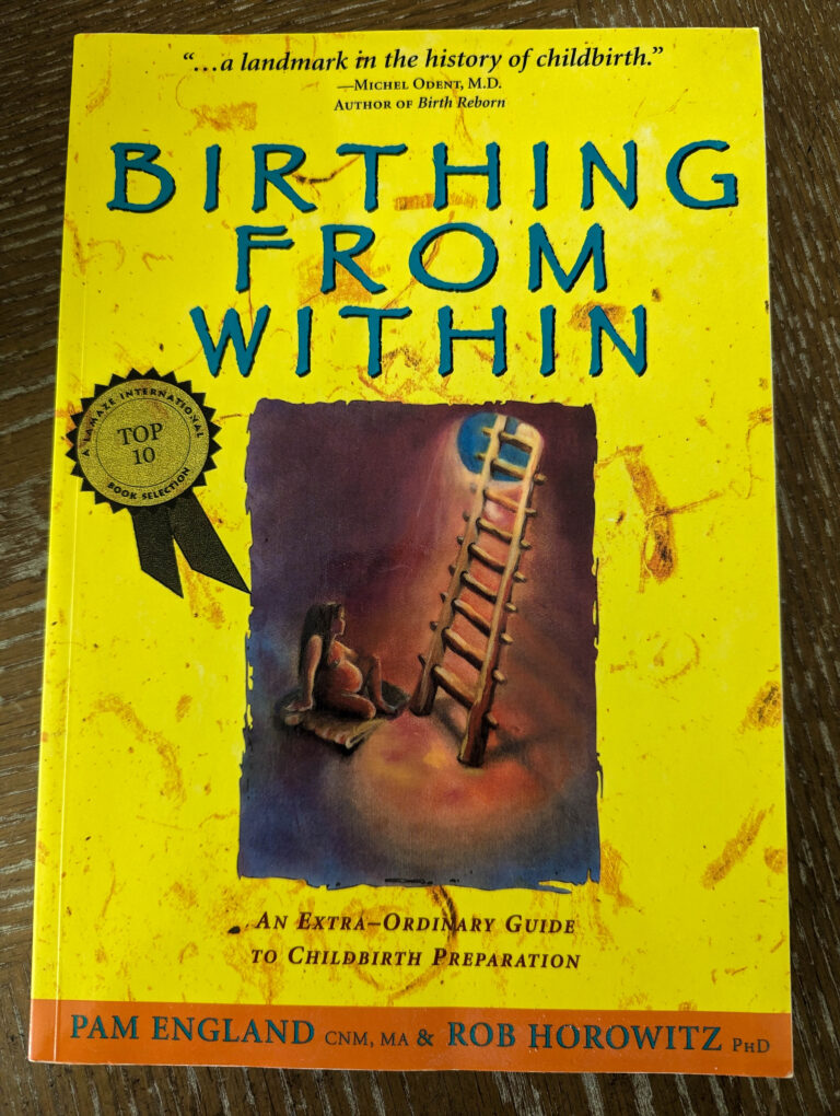 Best Books on Natural Birth: A RN's Recommendations - Pioneer Health ...