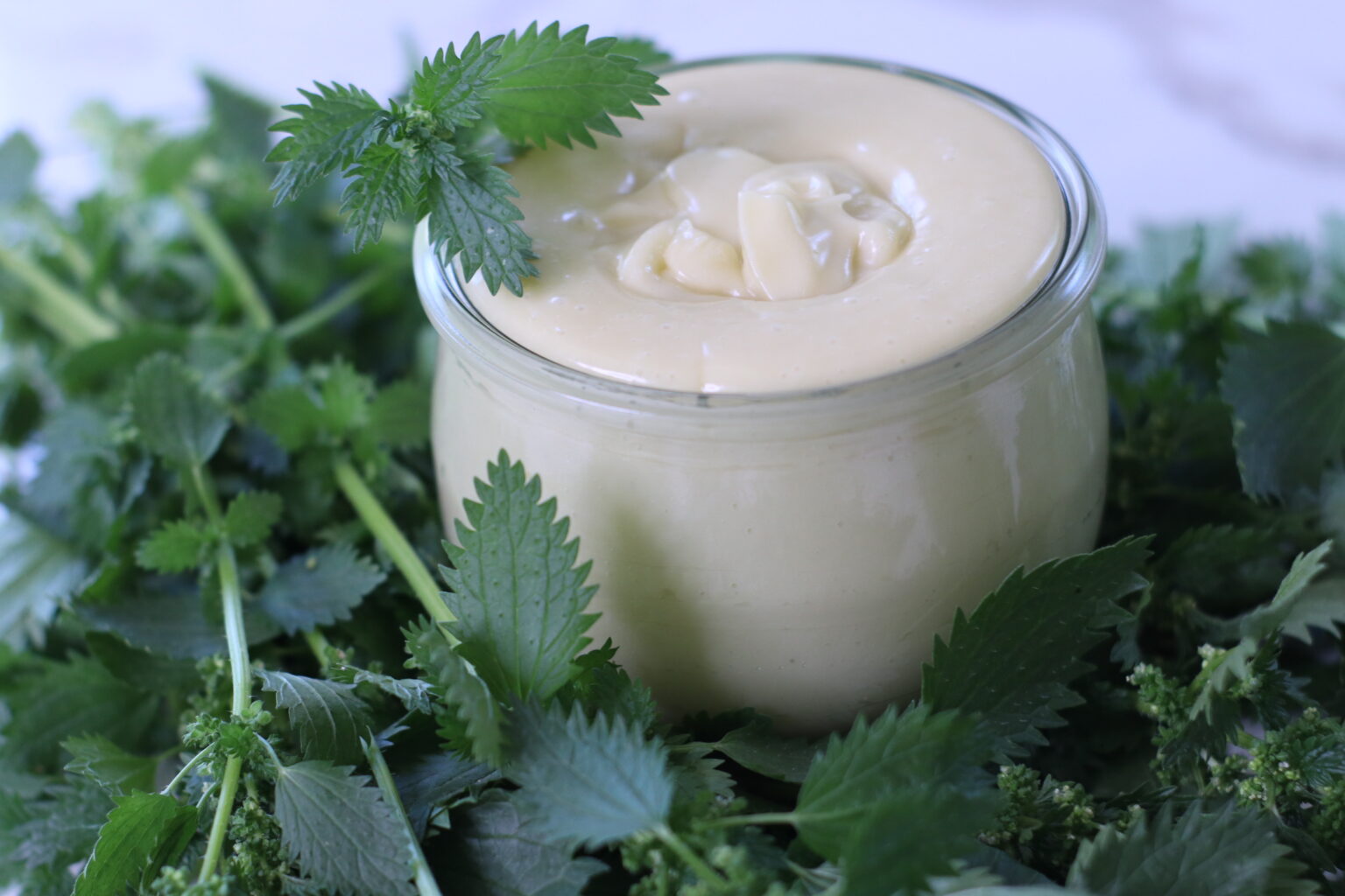 The Best Nettle Lotion Recipe - Pioneer Health Homestead