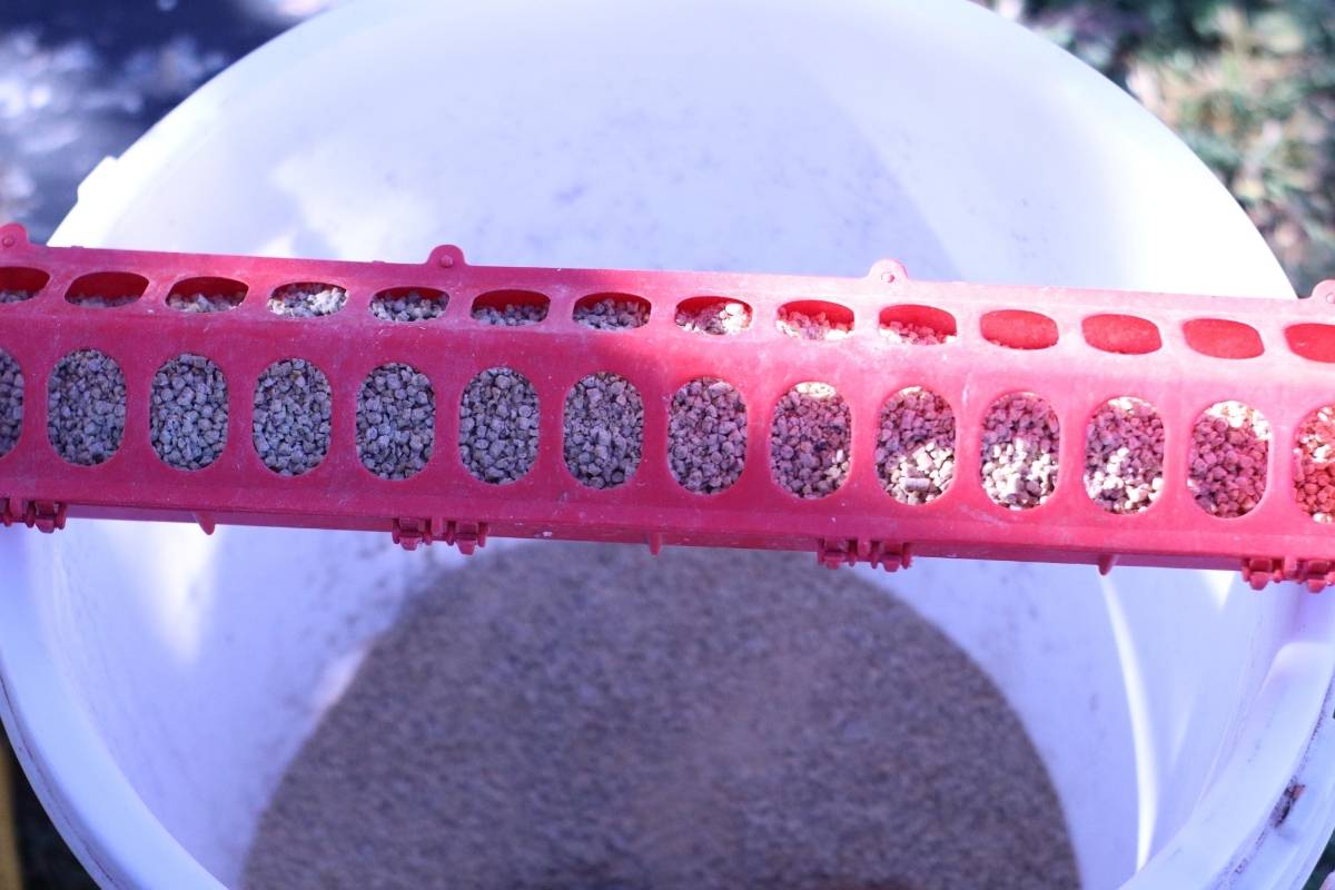 Easy Chick Brooder Setup for Beginners - Pioneer Health Homestead