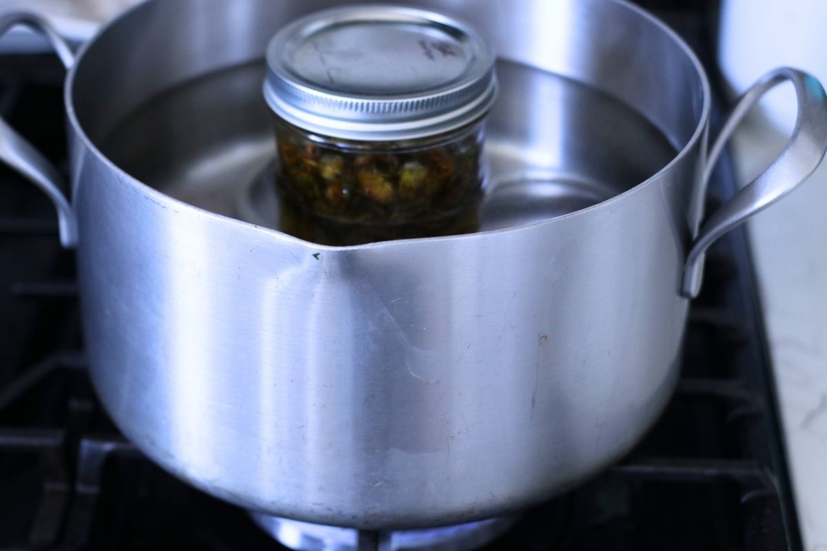 How to Make Dandelion Salve: Recipe - Pioneer Health Homestead