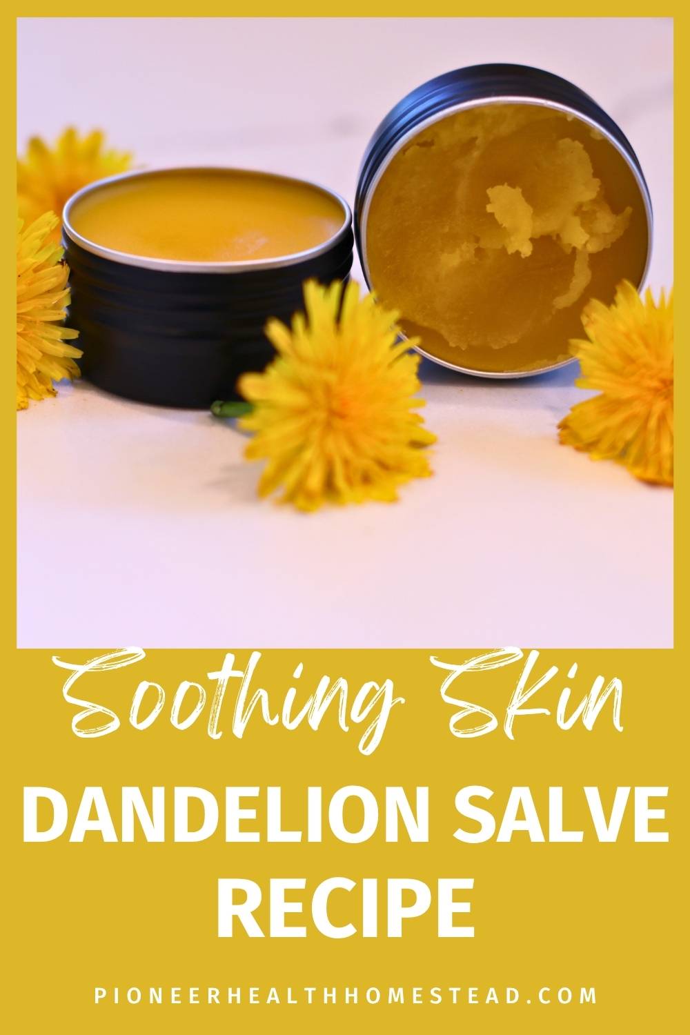 The Amazing Benefits of Dandelions You Didn't Know About - Pioneer ...