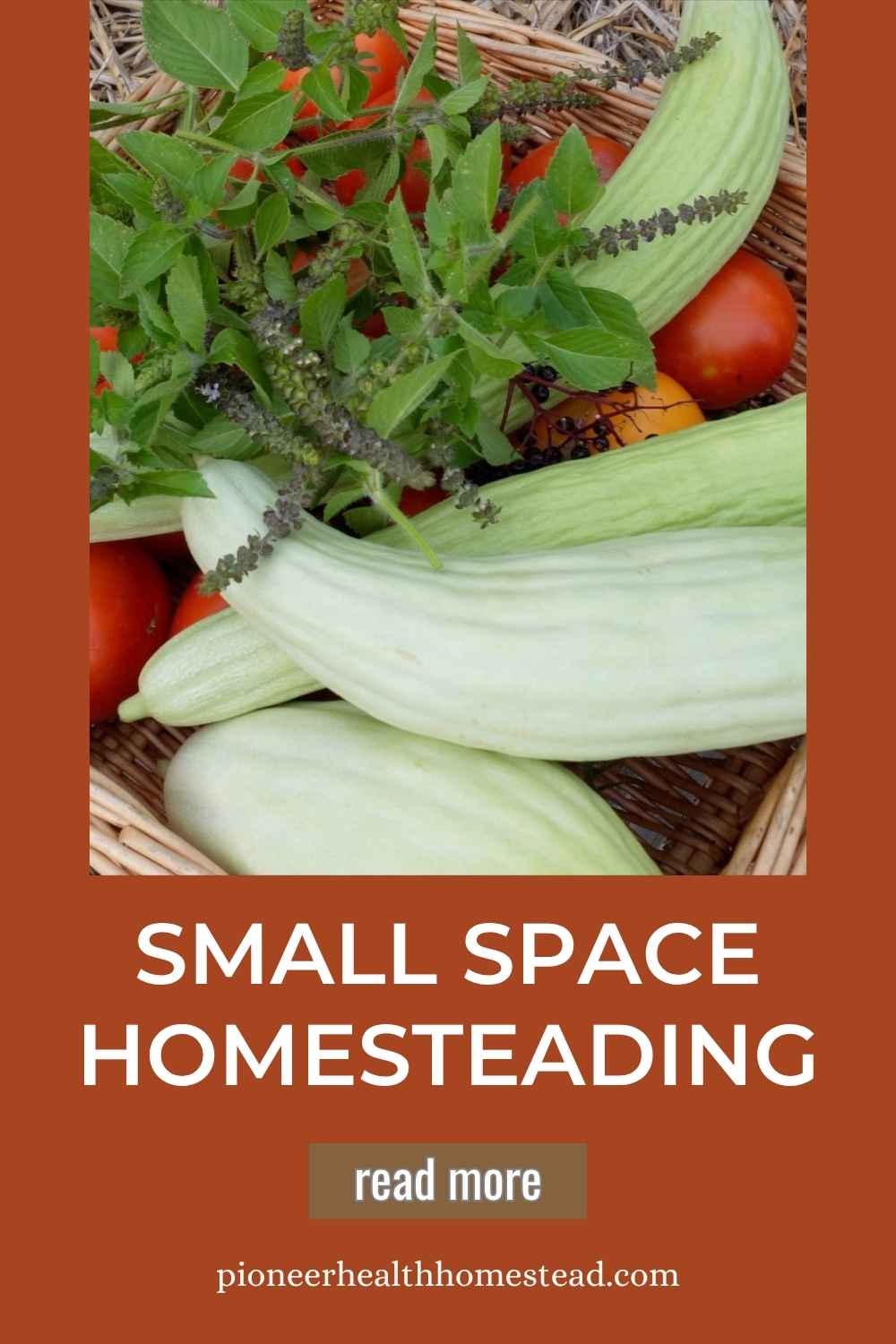 Small Space Homestead: Ultimate Guide for Beginners - Pioneer Health ...